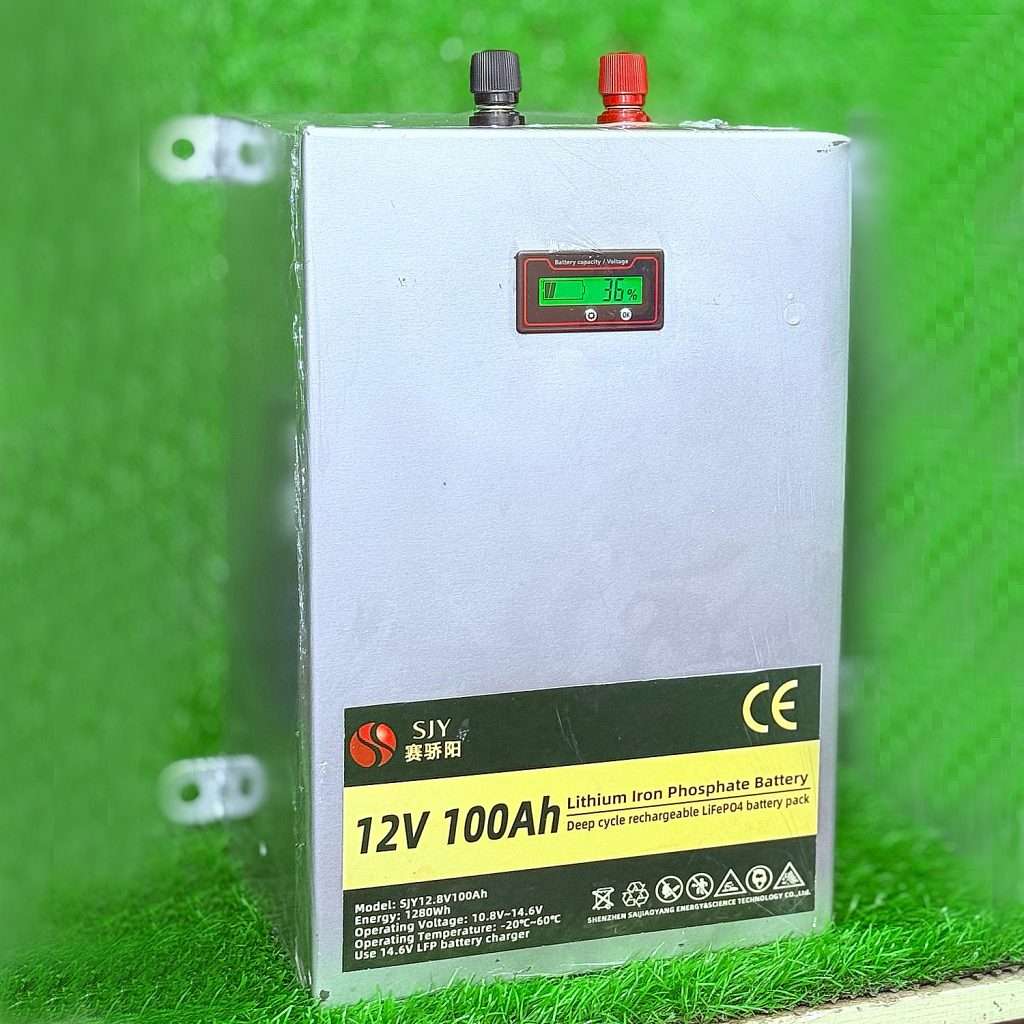 SJY 12V 100A LiFePO4 Lithium Iron Phosphate Battery Metal Body Deep ...